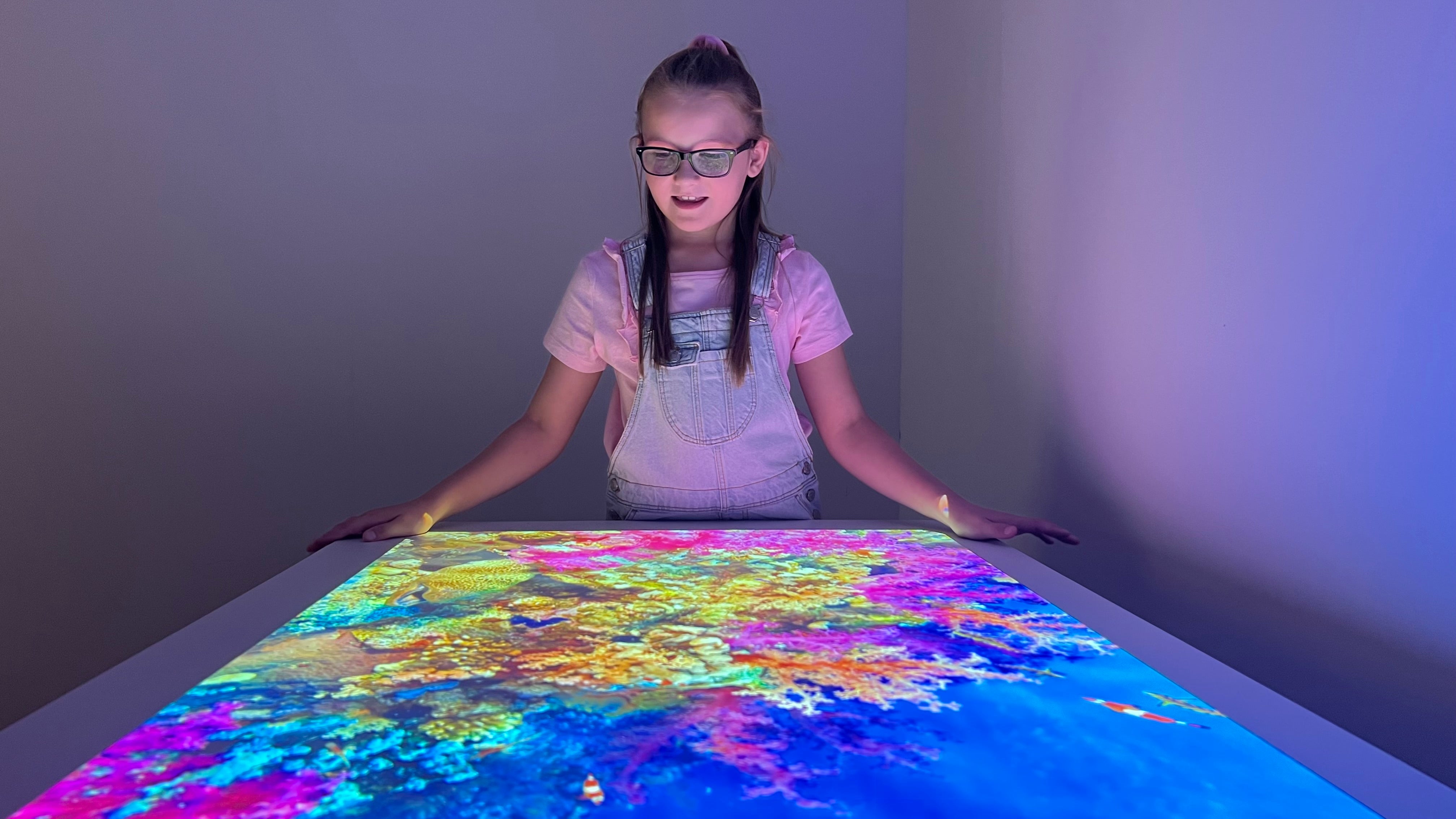 OmiVista Budii - Omi Interactive Projector